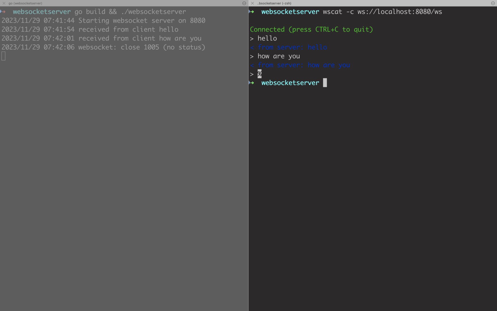 How To use Wscat command with Golang websocket server ...
