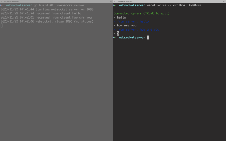 How To use Wscat command with Golang websocket server ...